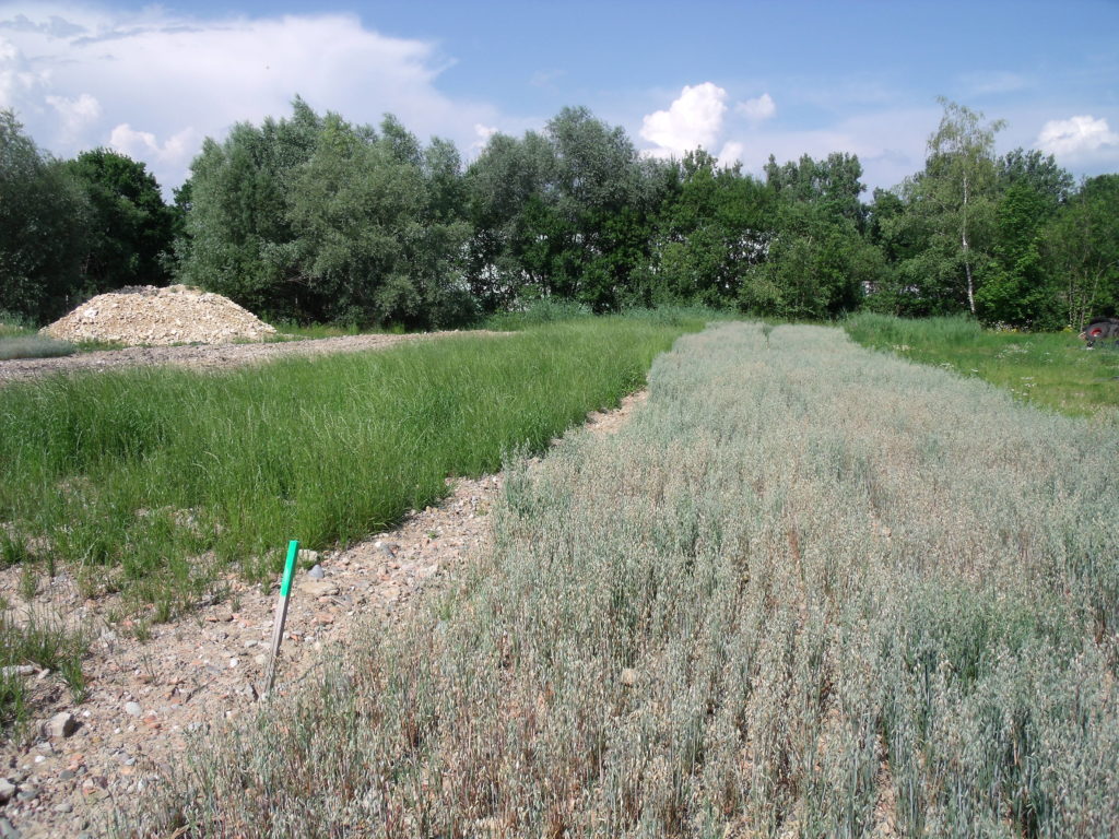 SERPOL & VICAT PRÉSENTENT « TERENVIE » - SERPOL